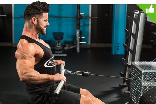 Hướng Dẫn Cách Tập Seated Cable Row Đúng Cách